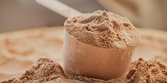 Protein Powders – Nutrishop Mike